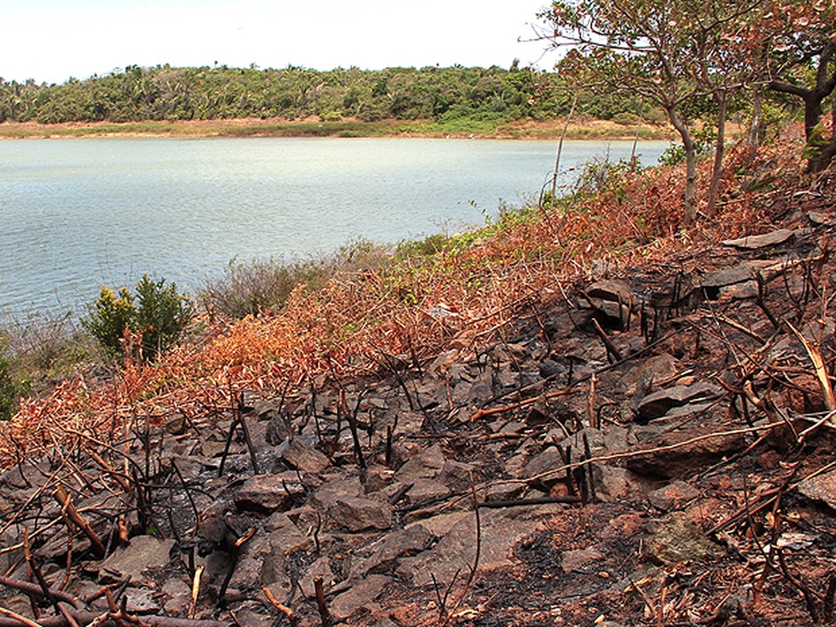 Maranhão possui apenas 30% de água potável na natureza, dizem ...