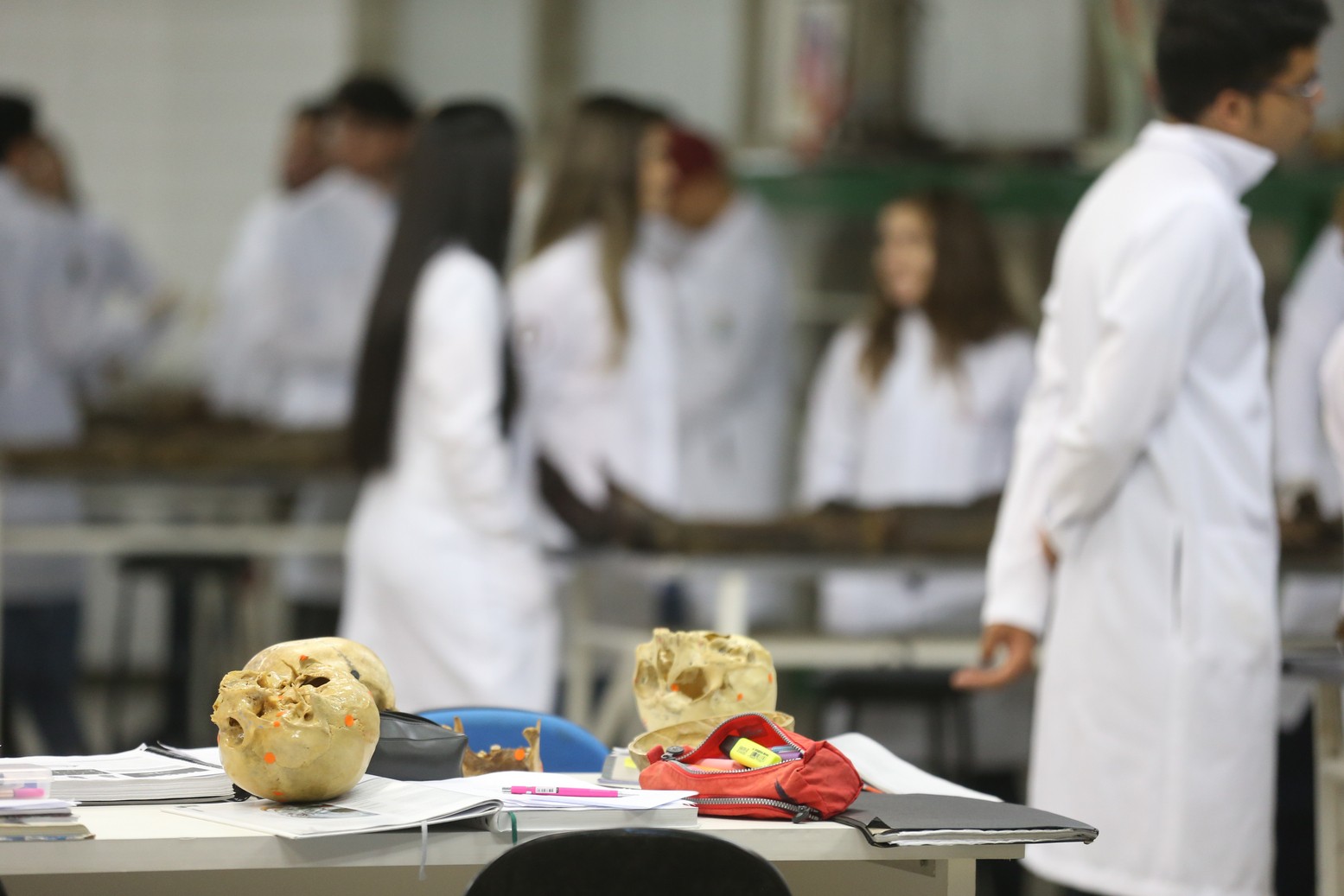 Doação de cadáveres para ciência: entenda lei que facilita processo e ...