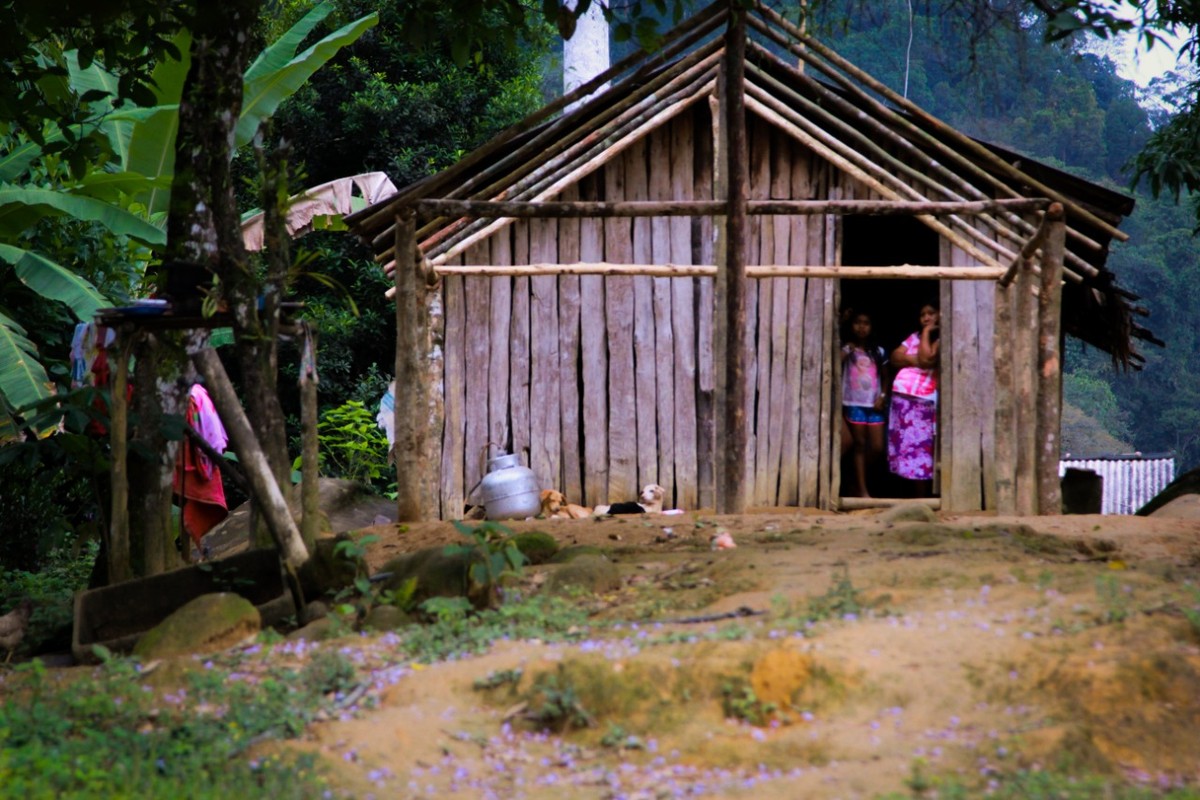 Aldeias indígenas da Costa Verde do Rio também convivem com restrições ...