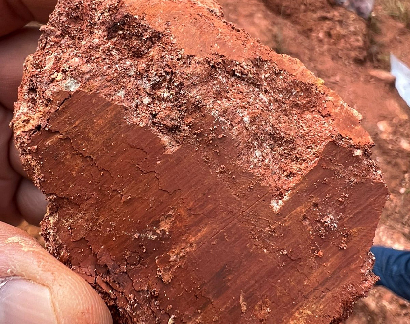 Corrida por terras raras: descoberta de jazida em MG atrai mais de 100 ...