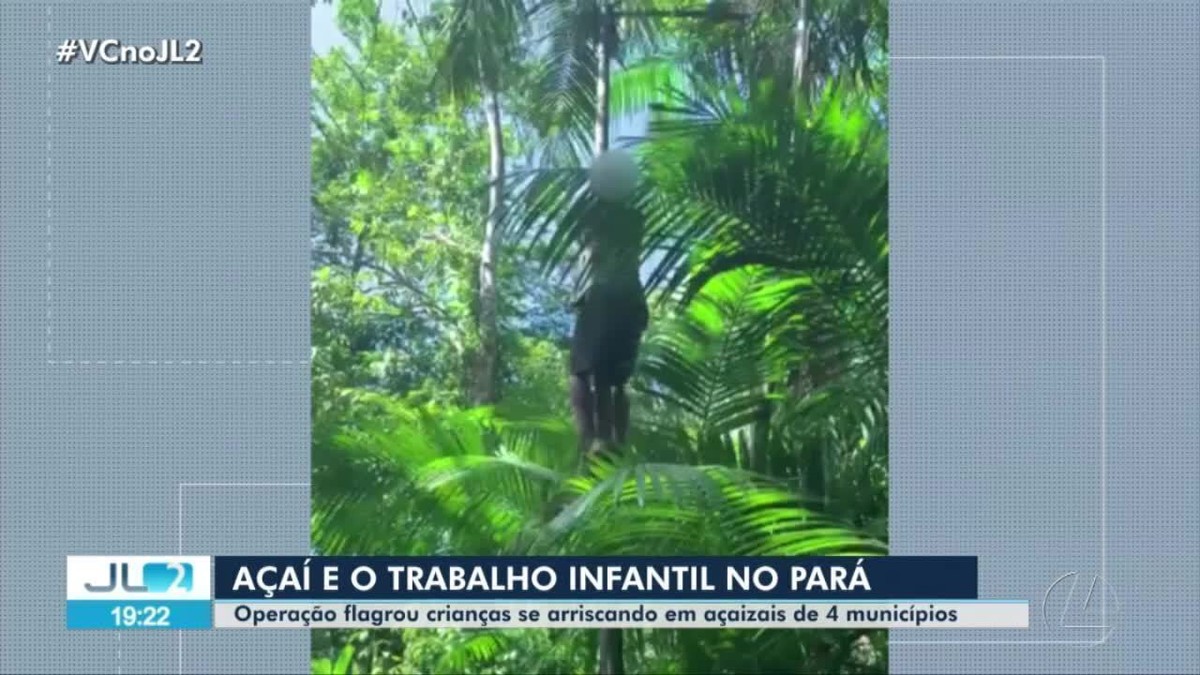 Operação de órgãos federais flagra trabalho infantil na colheita do ...
