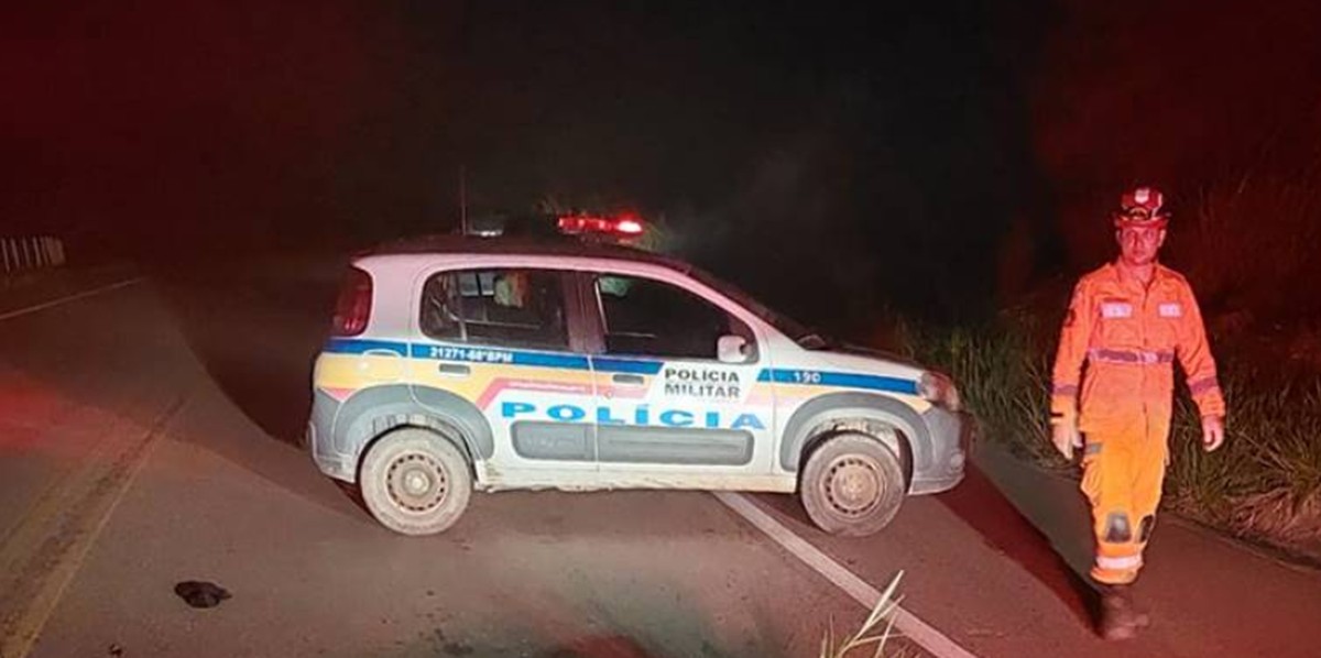 Motociclista morre ao bater de frente com caminhão em rodovia no interior de MG | Zona da Mata | G1