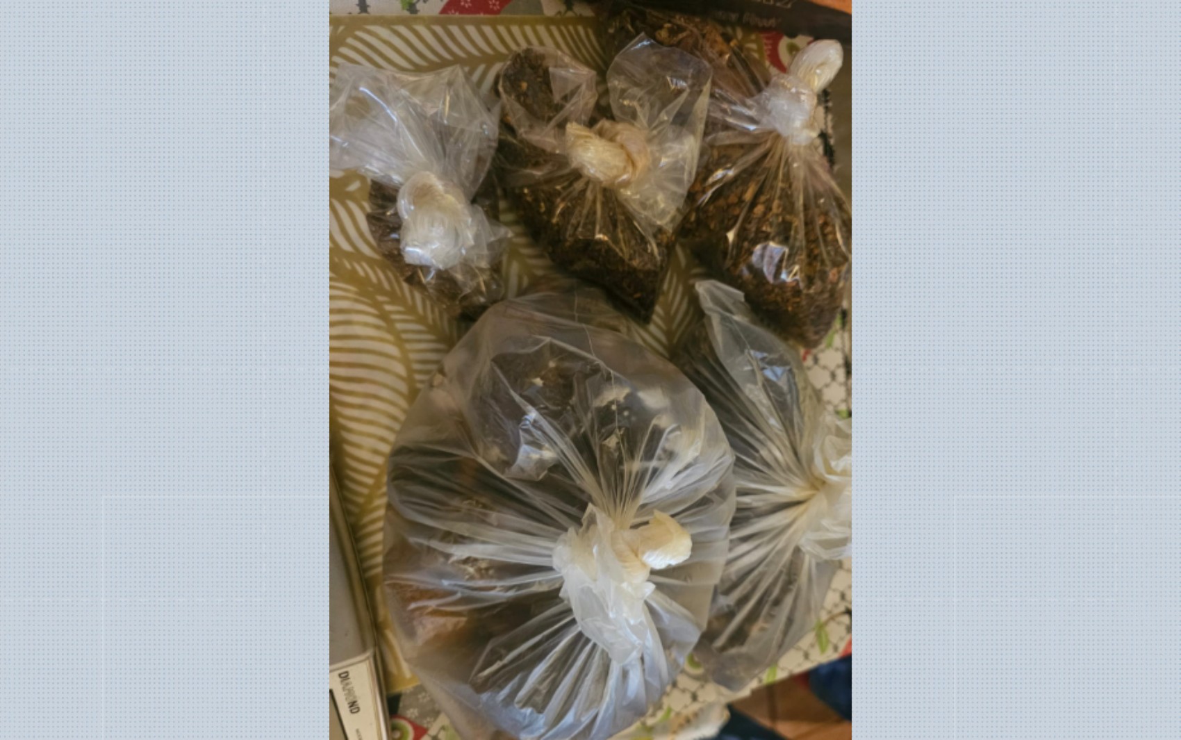 Entenda como se forma o cálculo biliar bovino e por que nem todo animal ...