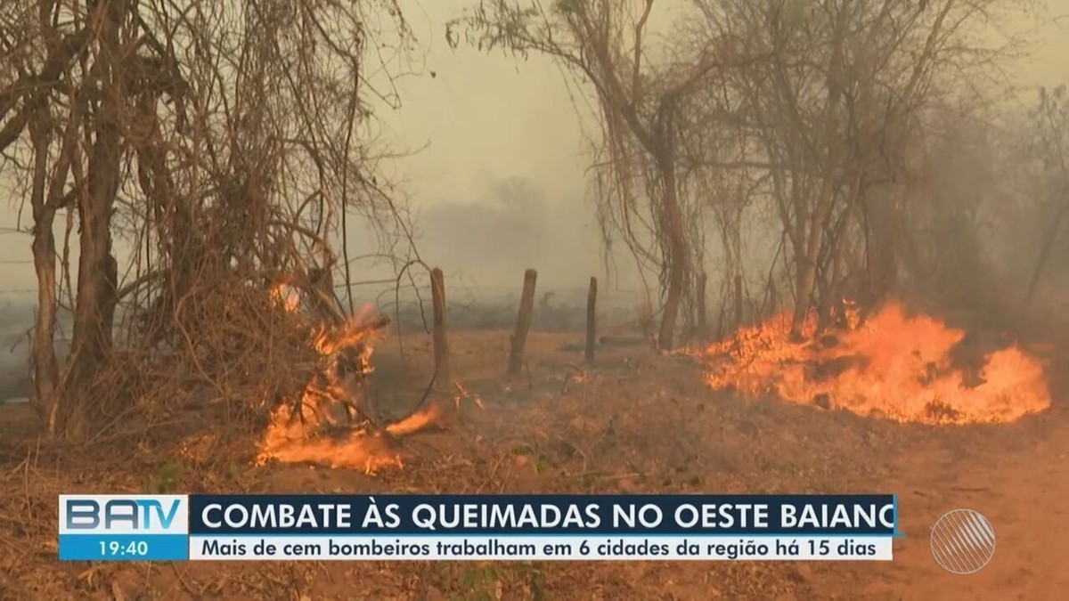 Queimadas no oeste da Bahia chegam ao 15° dia; bombeiros tentam apagar ...