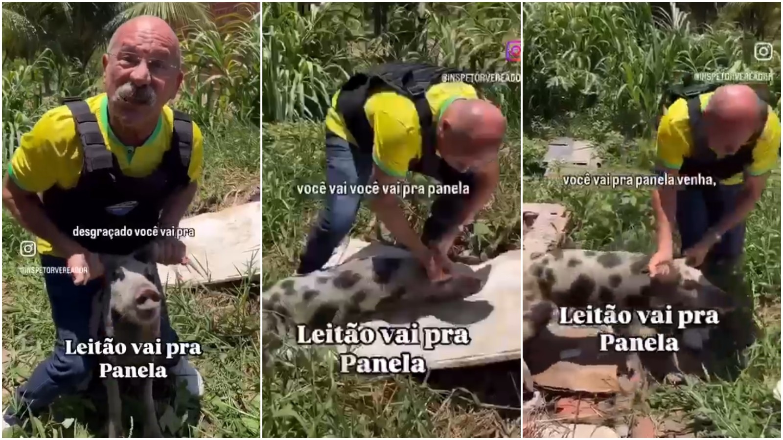 MP pede condenação do Inspetor Alberto por maus-tratos a animal