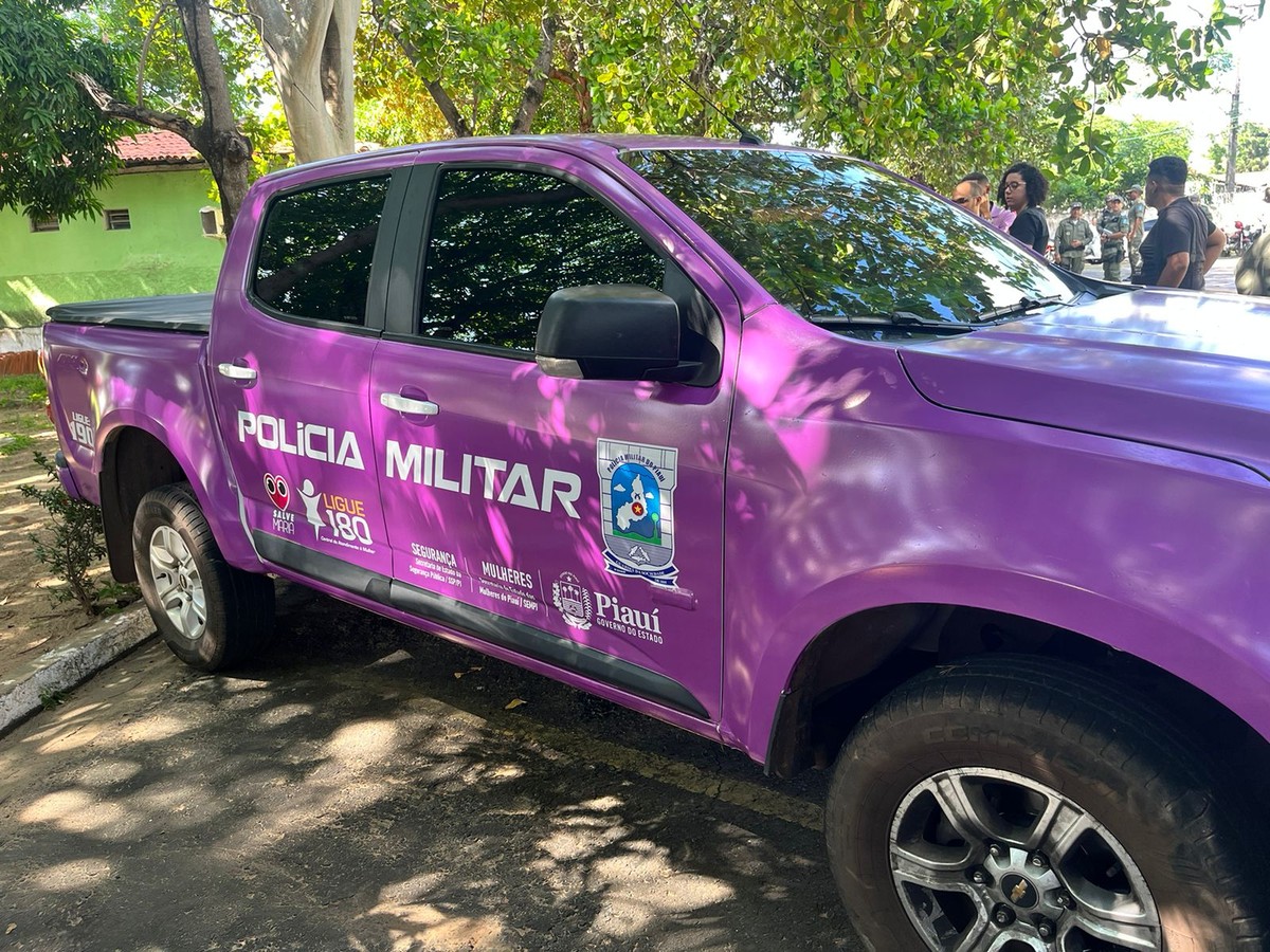 PM do Piauí usará viatura lilás em casos de violência contra a mulher ...