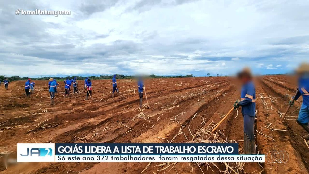 Goiás é o estado com mais trabalhadores resgatados em situação análoga ...