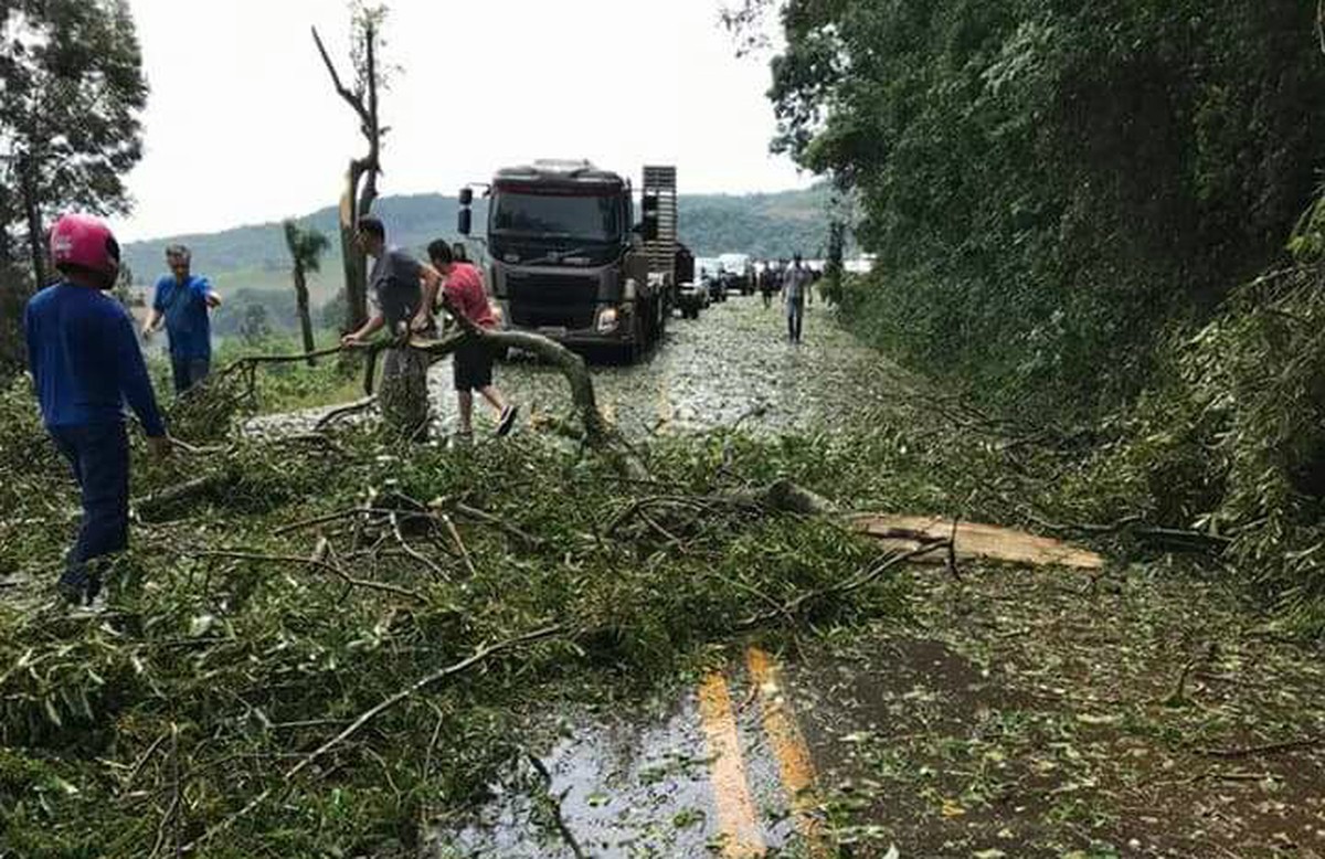 Granizo e vendaval provocam estragos no Oeste de SC | Santa Catarina | G1