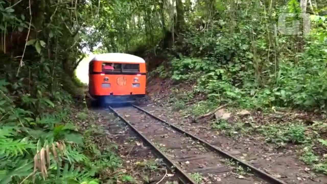 Litorina volta a fazer passeios em Porto Velho; confira a programação | G1
