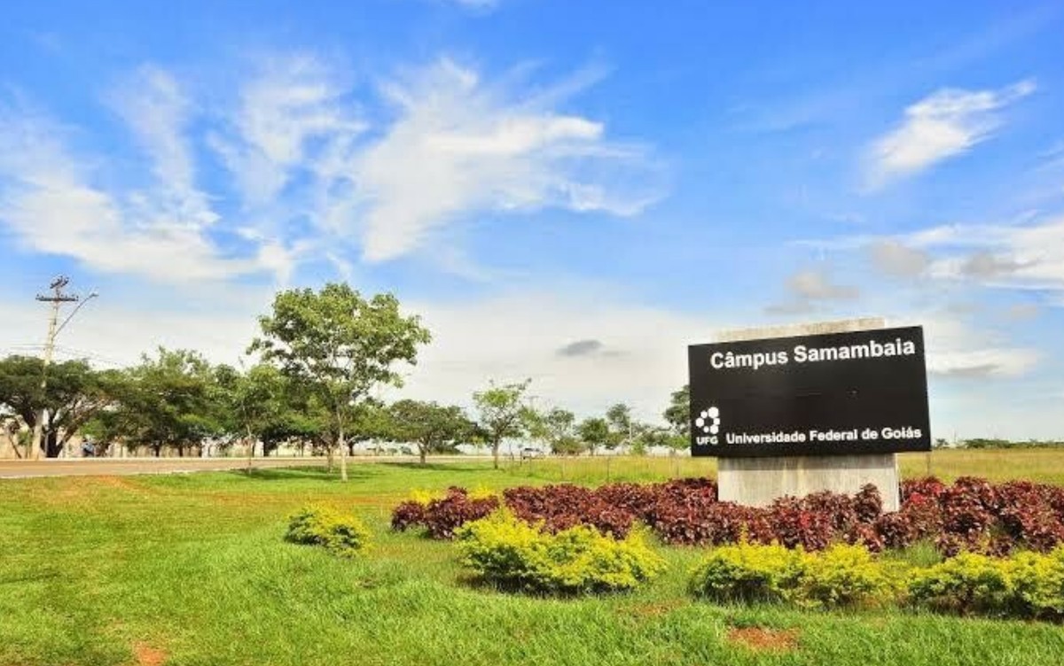 UFG oferece curso online gratuito com 30 mil vagas; veja como se ...