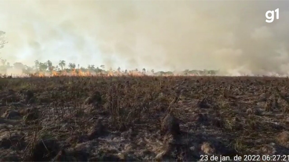 Raio provoca incêndio de grandes proporções em vegetação de parque ...
