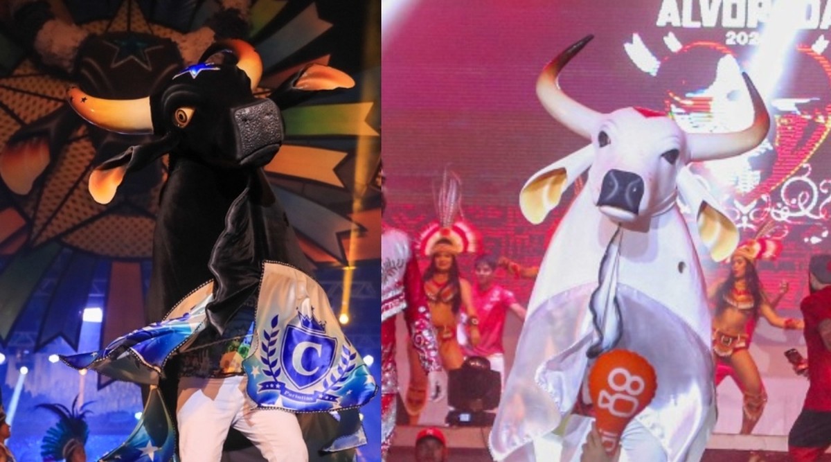 Festival de Parintins: conheça mais sobre o maior espetáculo folclórico ...