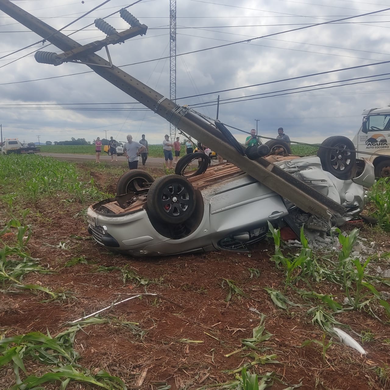 Suspeitos de furto ficam gravemente feridos após baterem carro contra poste no Paraná, diz PRE ...