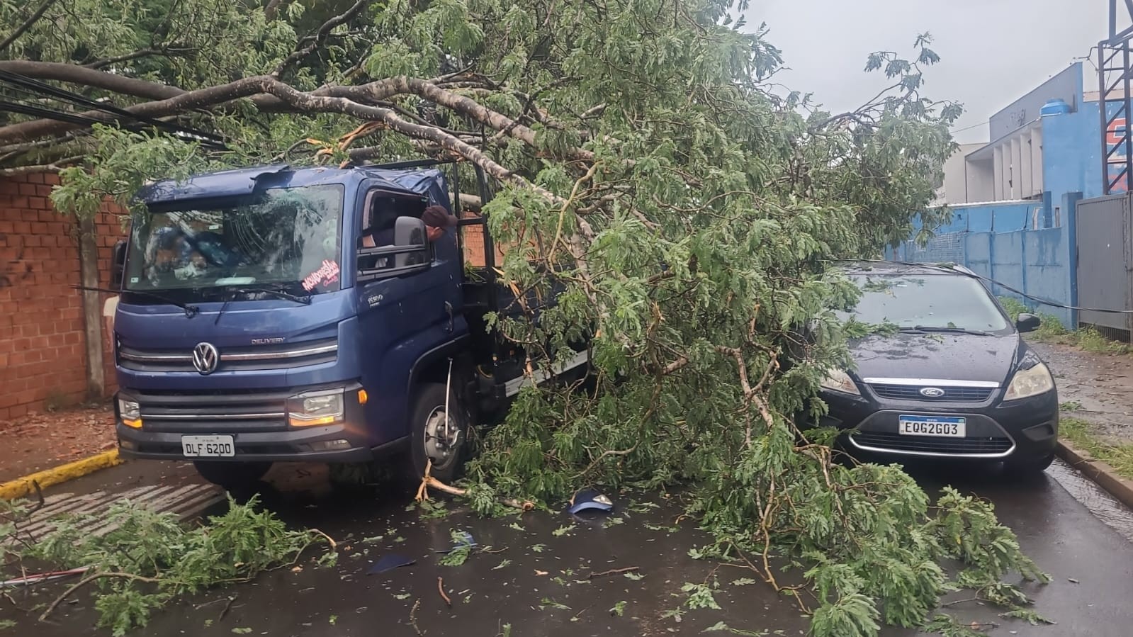 Árvore cai sobre caminhão e carro durante ventania de mais de 40 km/h ...