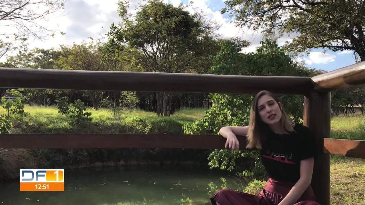 Por que isso é assim? Conheça história por trás do nome Taguatinga ...