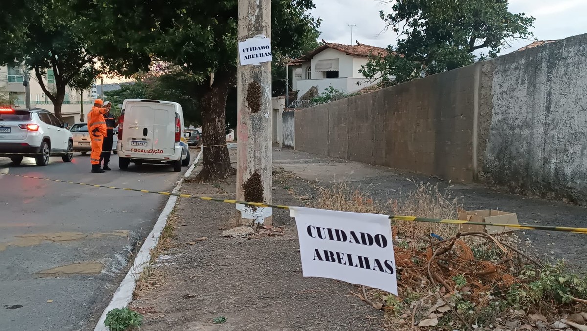 Corpo de Bombeiros é acionado para capturar enxame dentro de poste de ...
