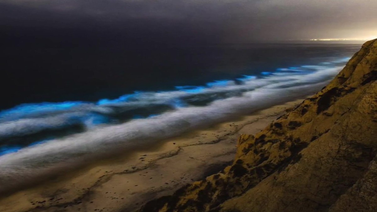 Ondas azul-metálicas brilhantes surpreendem moradores no litoral da ...