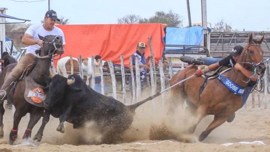 G1 Ceará: notícias e vídeos da TV Verdes Mares