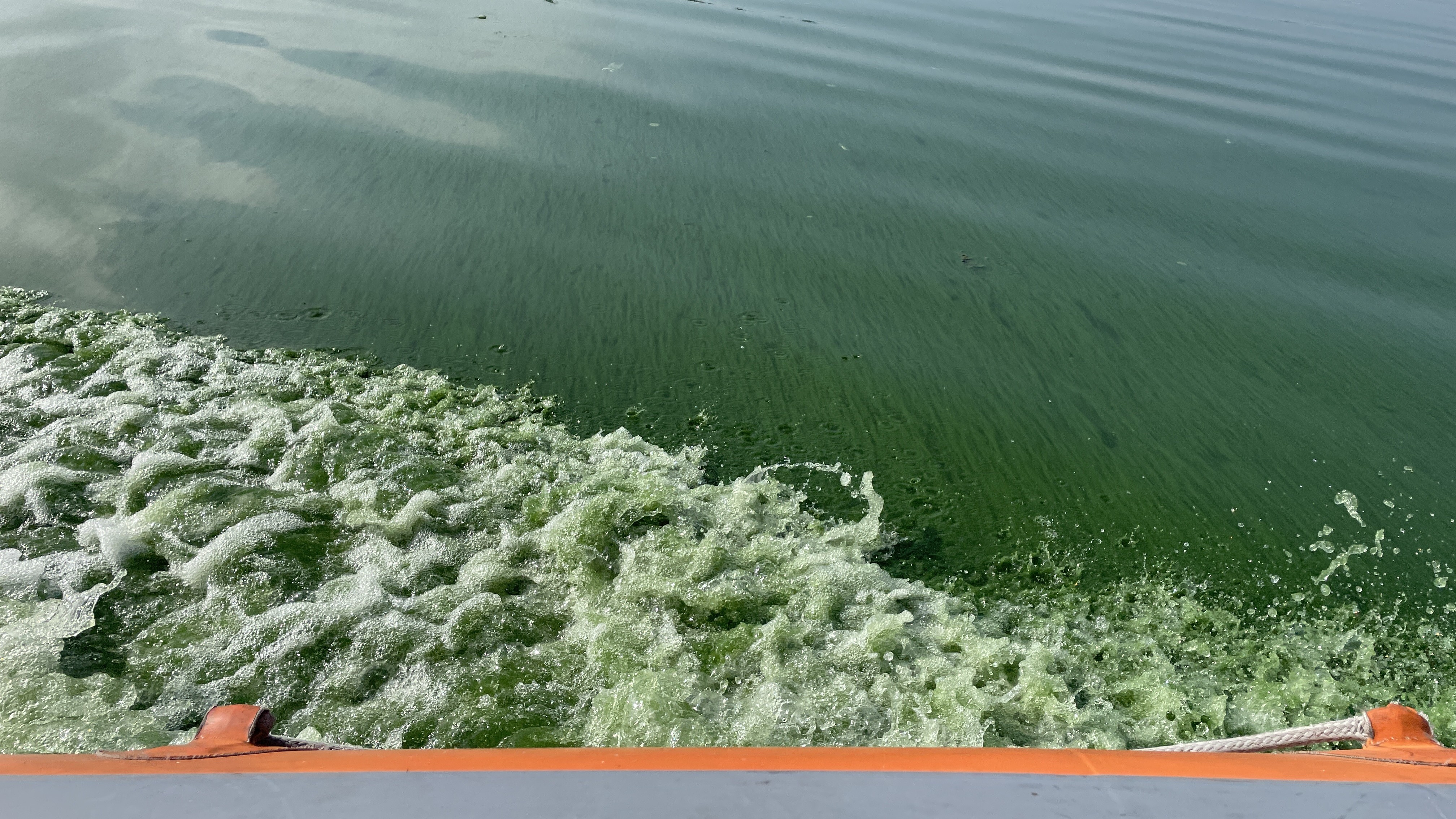 100 anos de Billings: represa multiuso tem transporte aquático ...