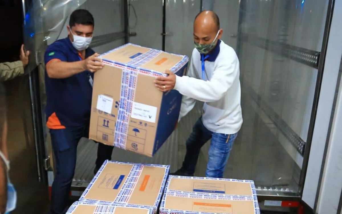 Goiás recebe 43.290 doses de vacina da Pfizer contra Covid-19 | Goiás | G1
