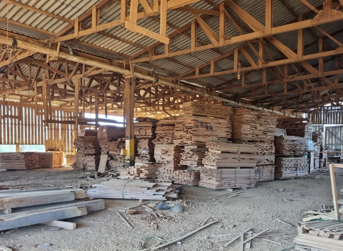 Cerca de R$ 2 milhões em madeiras e maquinários são apreendidos em RO ...