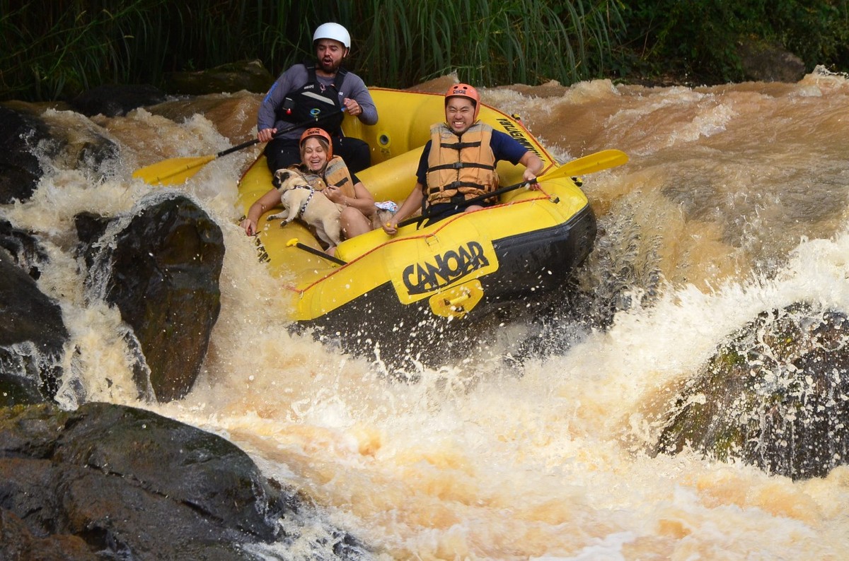 'Rafting dog' une paixões e é aposta da temporada dos esportes de ...