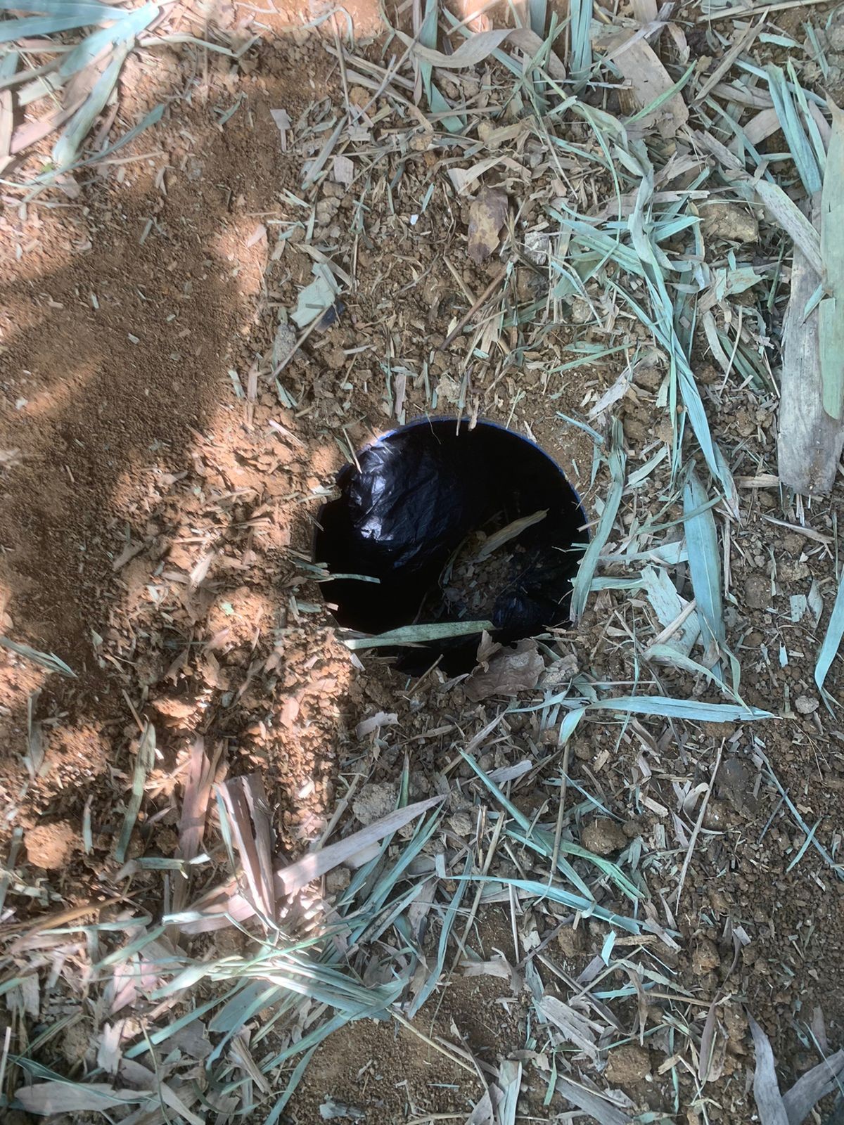 Polícia Civil apreende mais de 5kg de drogas enterradas em encosta de ...