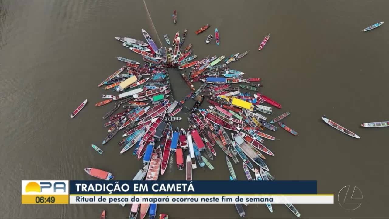 Pescadores comemoram tradicional captura do peixe mapará no Pará | G1