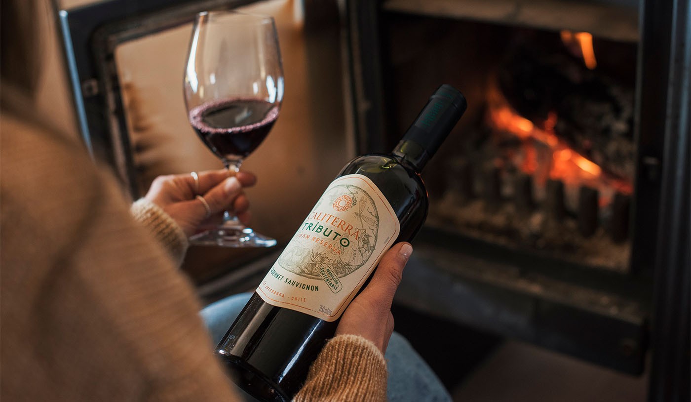 Os vinhos chilenos Caliterra são expressão do terroir do Vale de ...