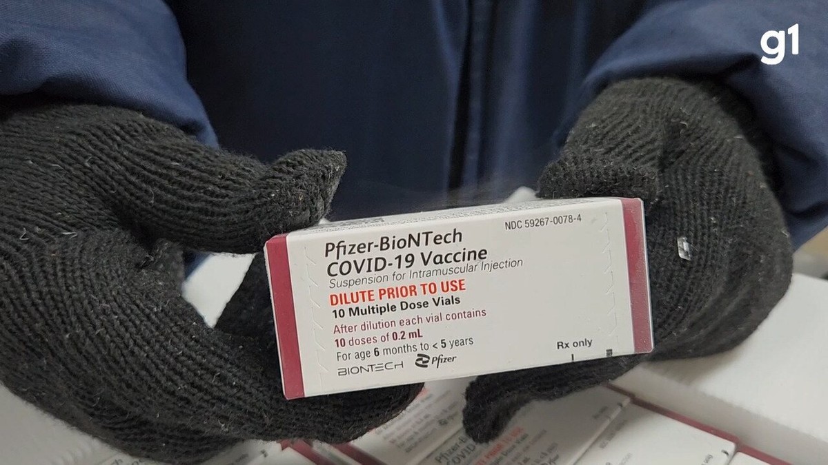 Covid-19: Bahia recebe 300 mil novas doses da vacina Pfizer Baby ...