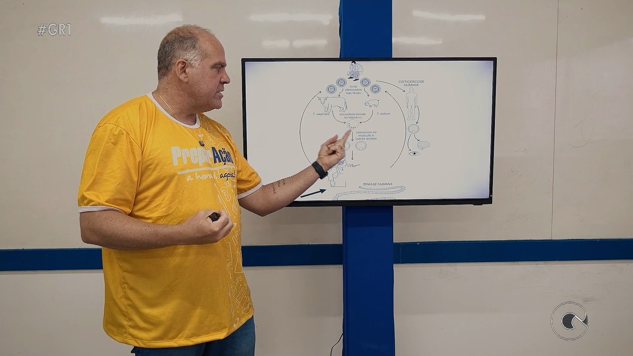 Enem: Biologia explica Teníase e Cisticercose | G1