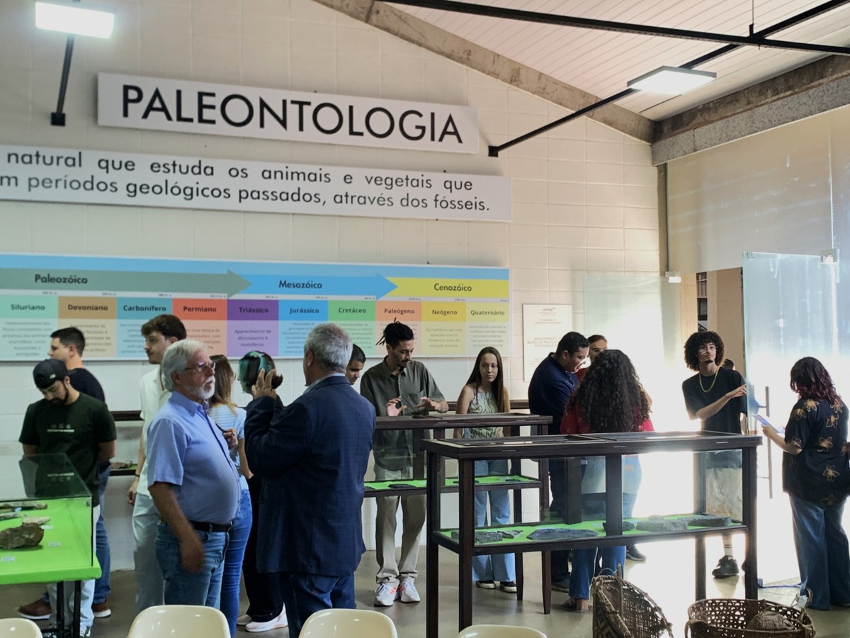 Com acervo rico em fósseis, Museu de Paleontologia é inaugurado na ...