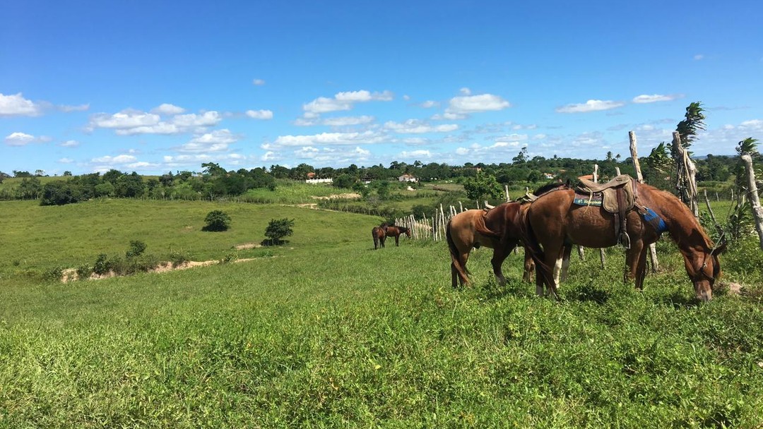 G1 Paraíba: notícias e vídeos da TV Cabo Branco e TV Paraíba