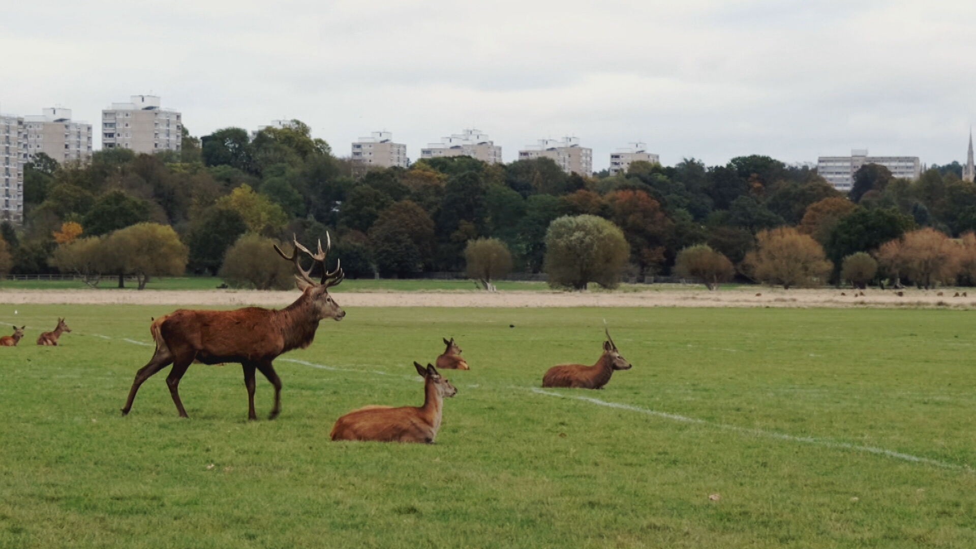 Globo Repórter vai mostrar o parque de Richmond e o construtor que ...