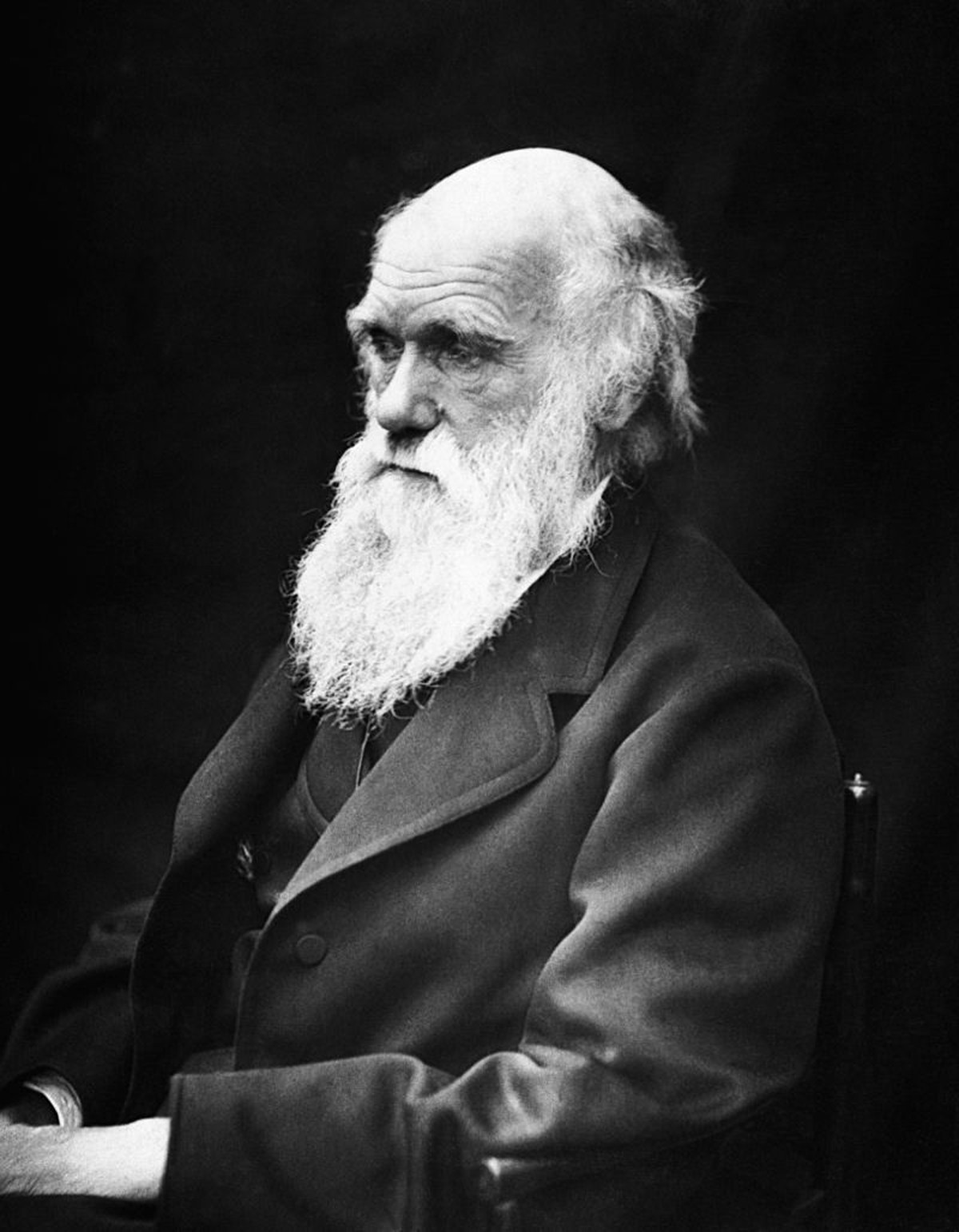 Por que Charles Darwin pode ter sido um dos maiores economistas da ...