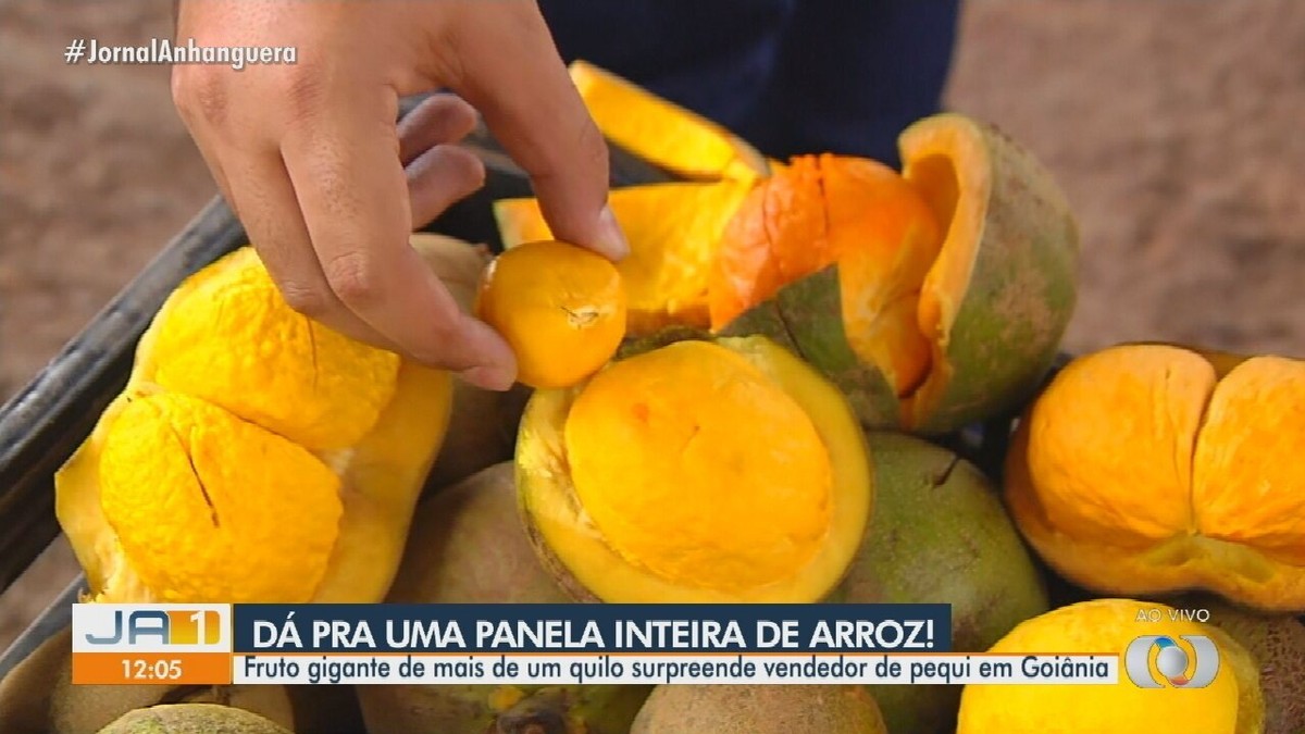 Feirante faz sucesso ao vender pequis gigantes em Goiânia; vídeo mostra ...