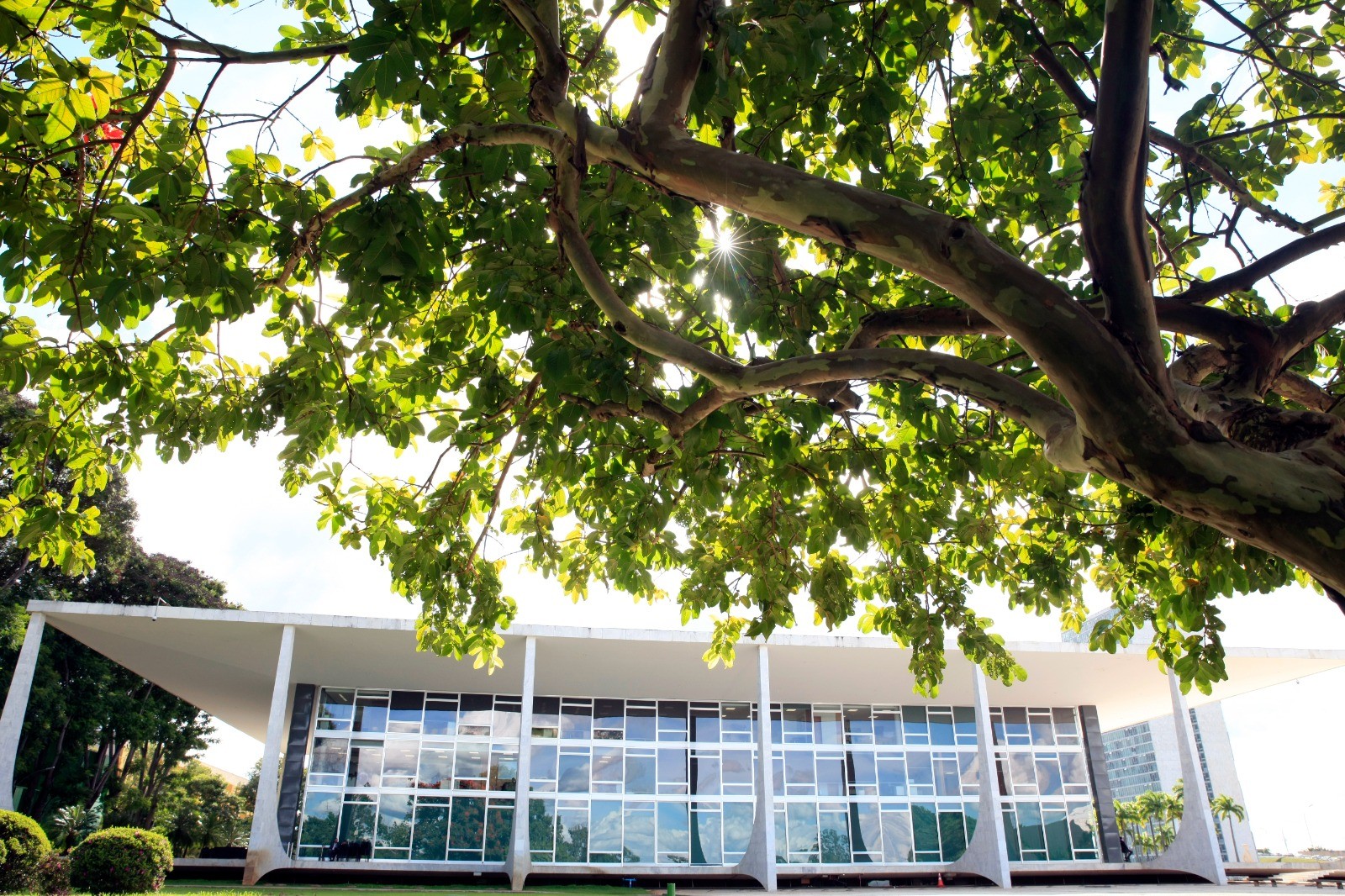 STF tem primeiro fotógrafo com síndrome de Down; conheça o trabalho de ...