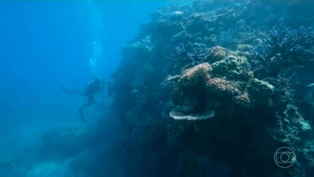 Aquecimento dos oceanos atinge nível inédito nos estudos científicos ...