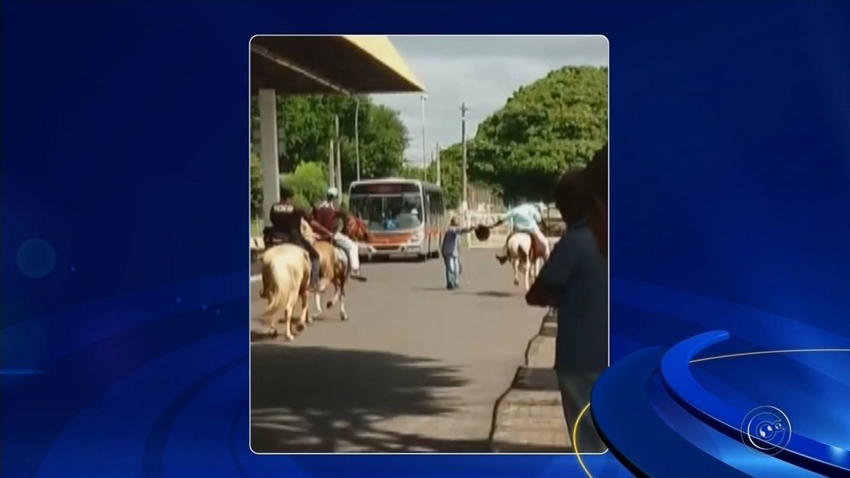 Vídeo mostra homens montados em cavalos na área restrita a ônibus no ...