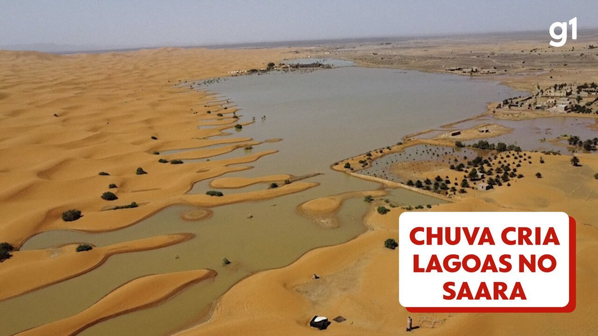 Chuva no Saara cria lagoas entre as dunas do deserto; veja VÍDEO | Meio ...