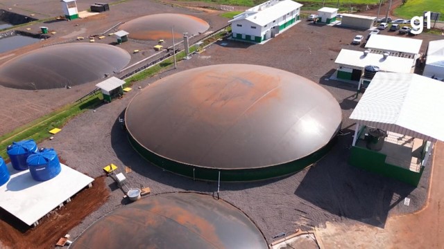 Estrume de porco vira energia elétrica na cidade que mais produz carne ...