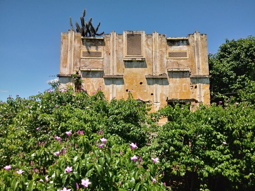 Portal 40 Graus - Curiosidades - COCOCI