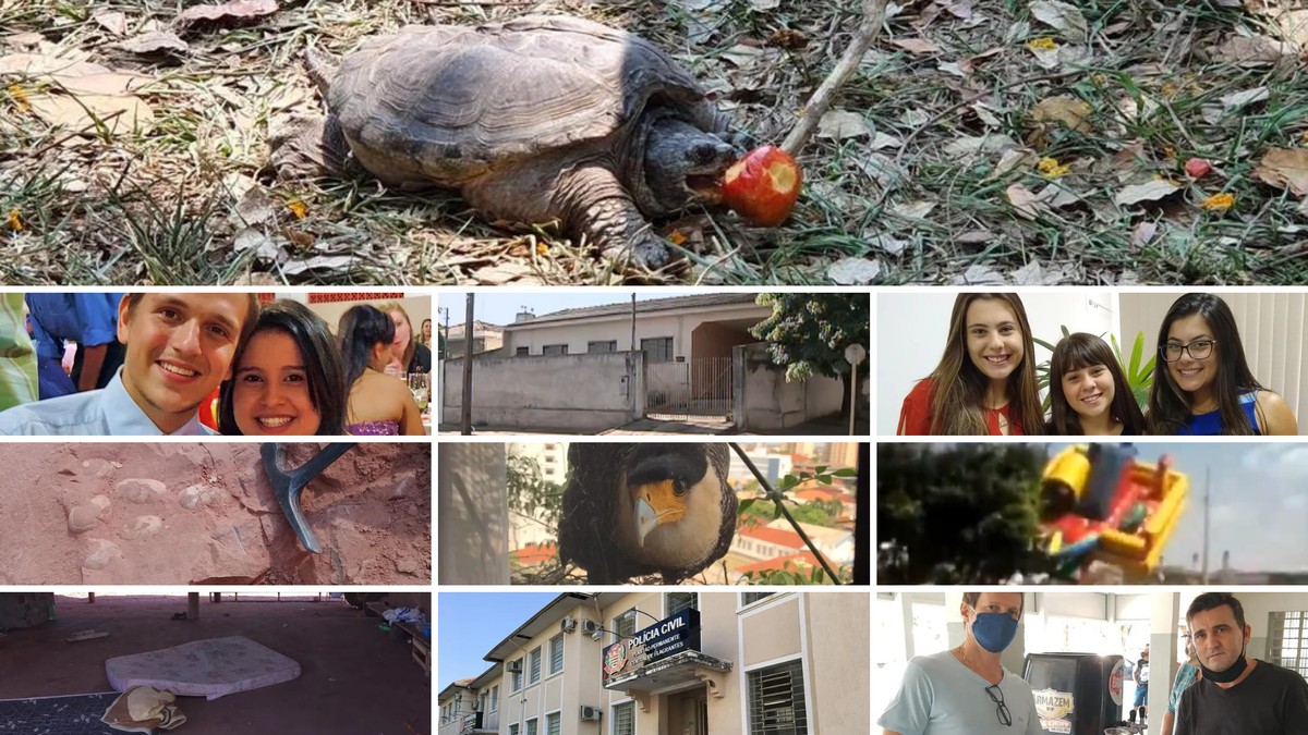 Histórias inusitadas do Oeste Paulista marcam uma década do Portal g1 ...