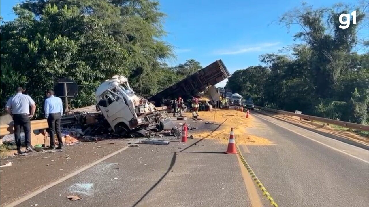 Acidente entre carros e carretas carregadas de porco e milho deixa seis pessoas mortas na BR-163 ...