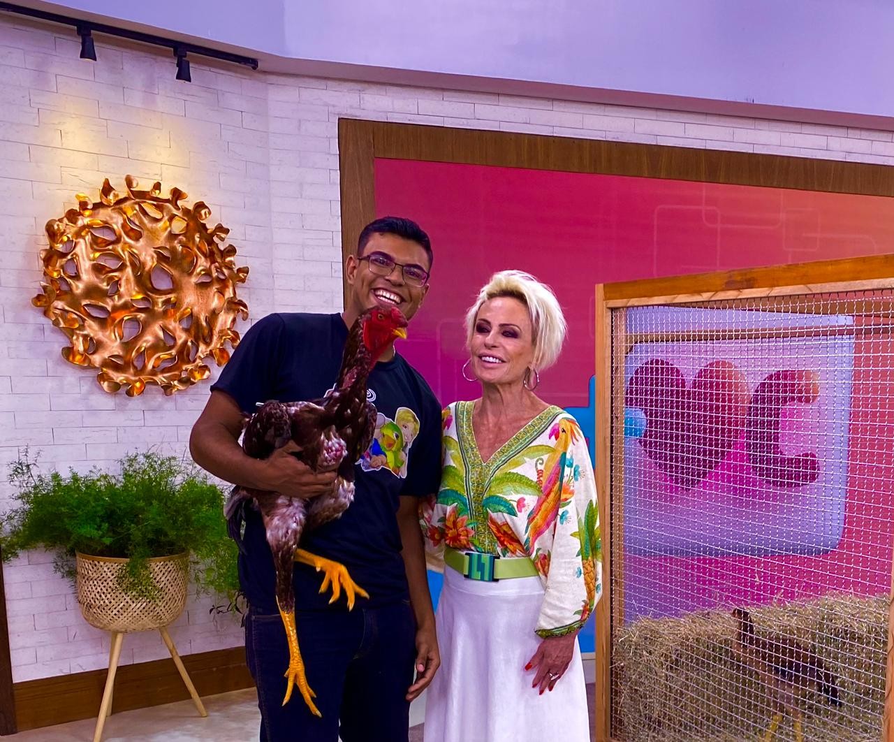 Morador do interior de SP lucra com criação de ‘galinhas gigantes’ que ...