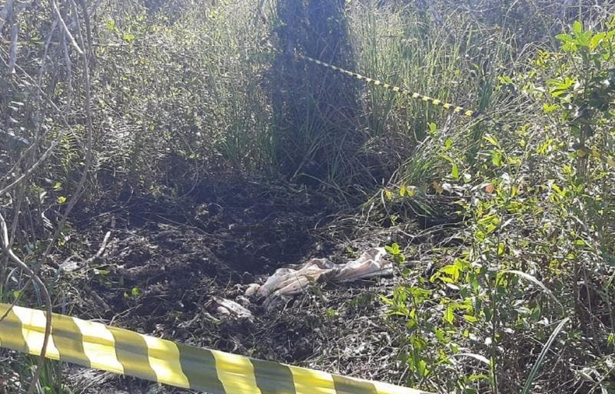 Corpo De Homem é Encontrado Decapitado Em área De Mata No Norte De Sc