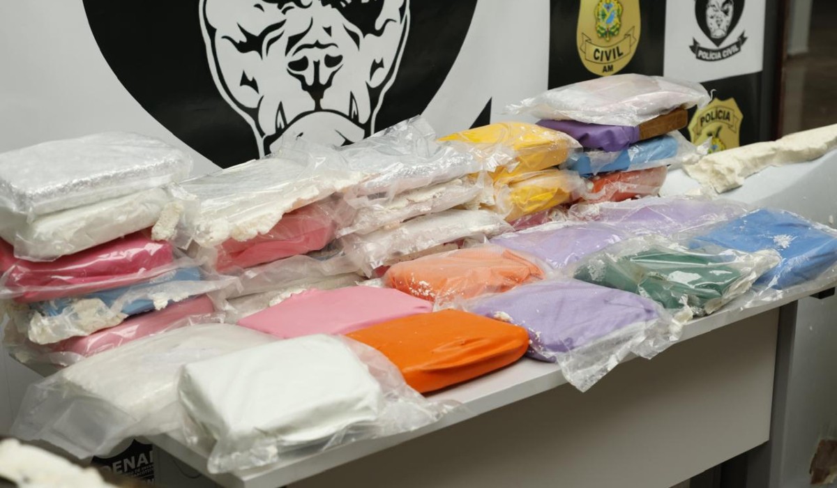 Polícia apreende 50kg de drogas em freezer de empresa em Manaus | G1