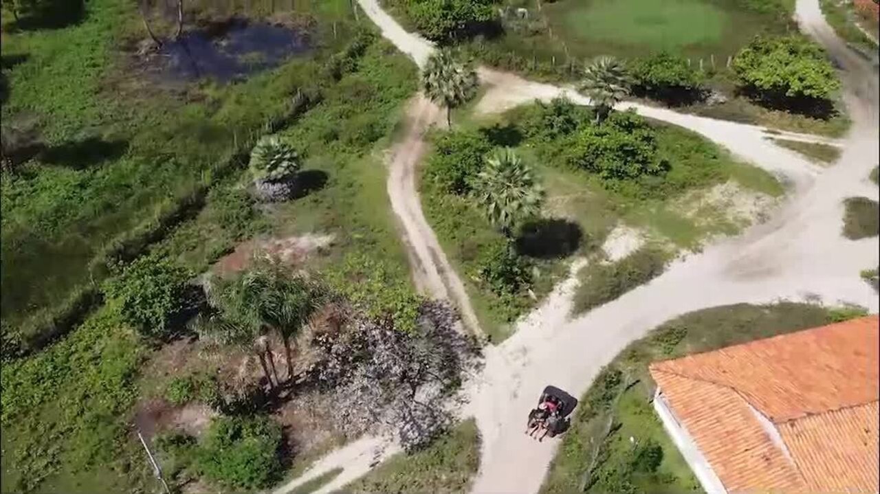 Chef cria versão de clássico piauiense no Delta do Parnaíba: conheça a ...