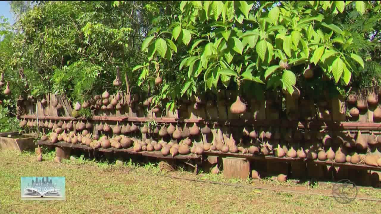 Sítio tem mais de 10 mil artigos feitos com cabaça em MG: 'É meu ...