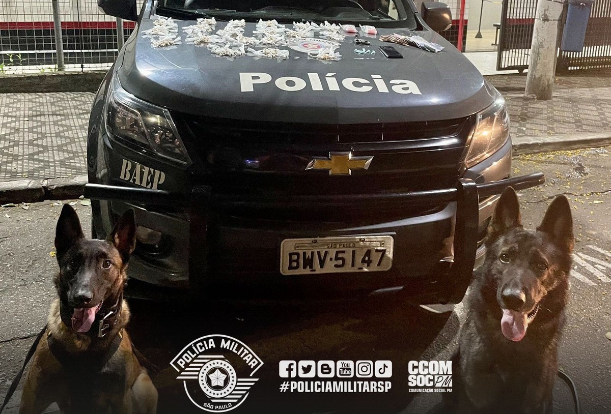 Cães Farejadores Ajudam Polícia A Apreender Mais De 750 Porções De